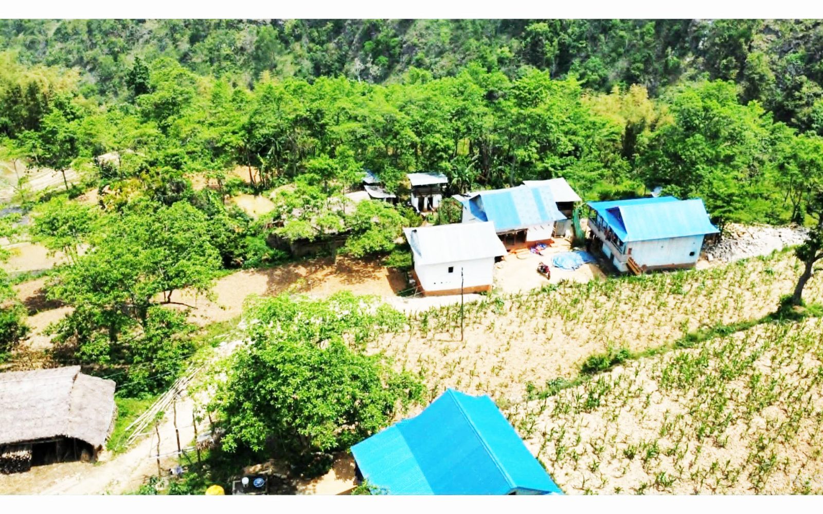 कर्णालीमा भातमुखी संस्कृतिले बढायो खाद्य असुरक्षा » Mission Mission